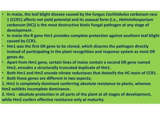 Gene for gene hypothesis | PPTX