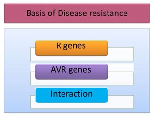 Gene for gene hypothesis | PPTX