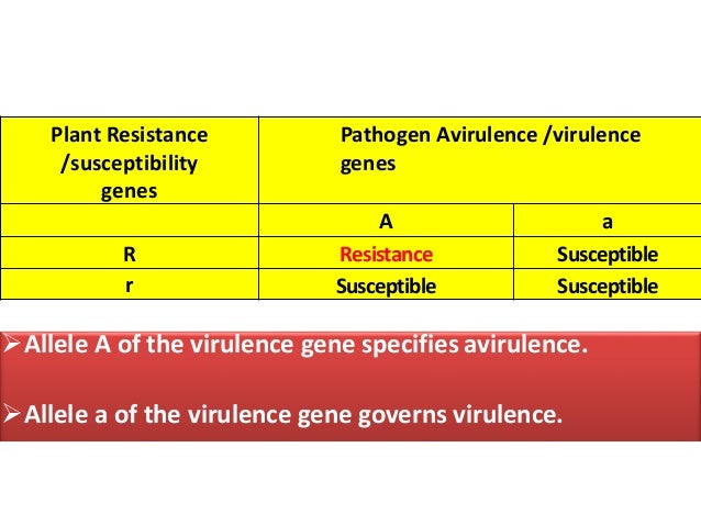 Gene for gene hypothesis