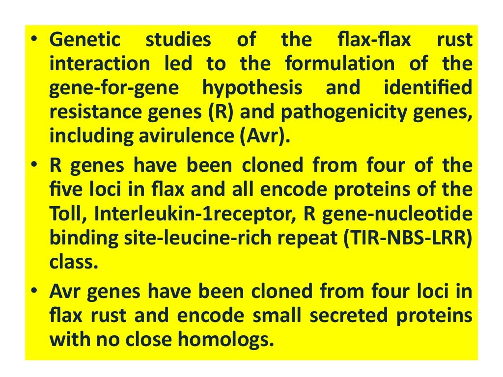 Gene for gene hypothesis