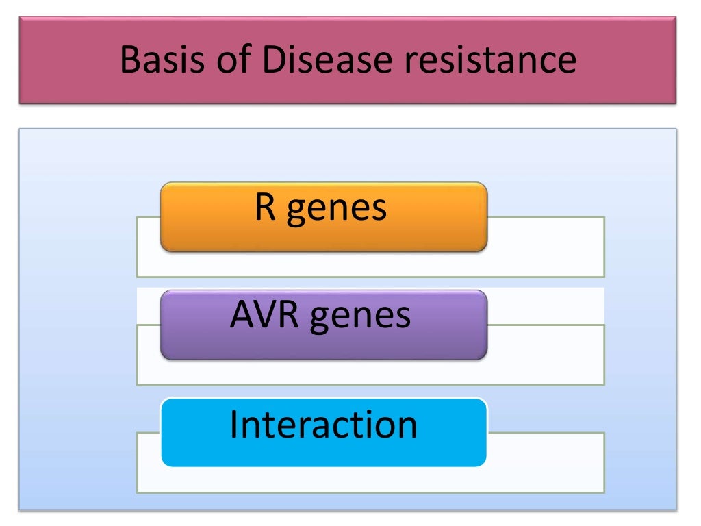 Gene for gene hypothesis