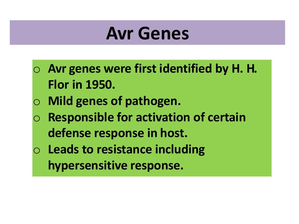 Gene for gene hypothesis