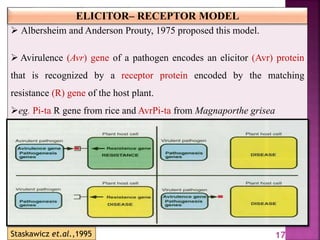 Gene for gene system in plant fungus interaction | PPTX