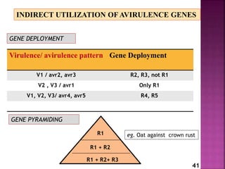 Gene for gene system in plant fungus interaction | PPTX
