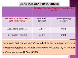 Gene for gene system in plant fungus interaction | PPTX