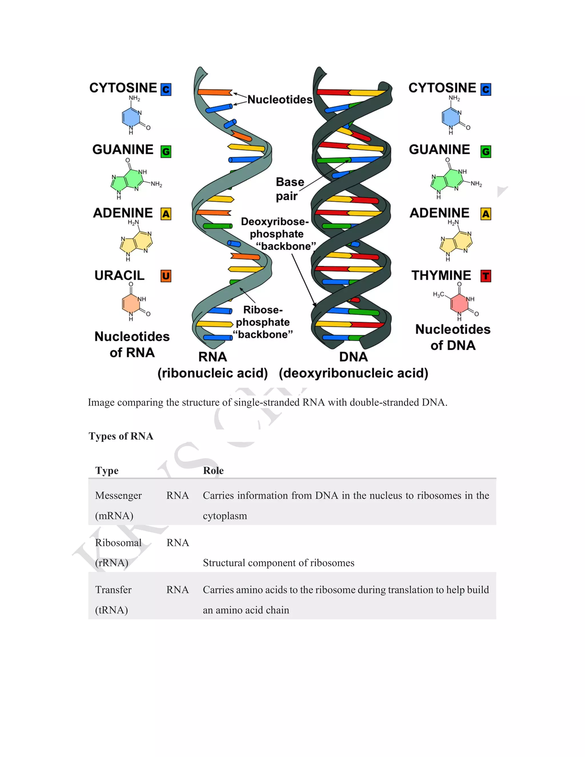 ALTERED GENE FUNCTIONS: MUTATION DELETION LOH TRANSLOCATION | PDF ALTERED GENE FUNCTIONS: MUTATION DELETION LOH TRANSLOCATION | PDF