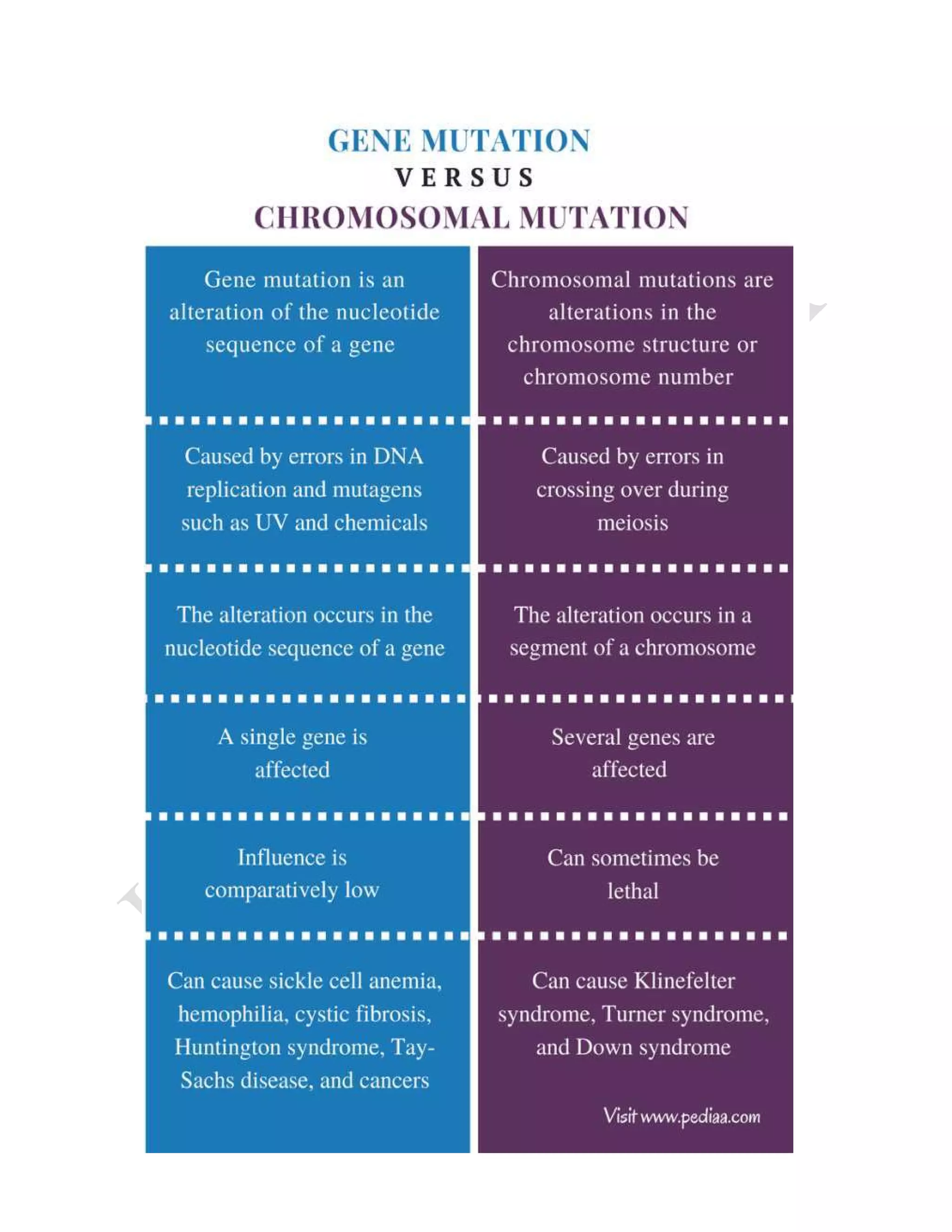 ALTERED GENE FUNCTIONS: MUTATION DELETION LOH TRANSLOCATION | PDF