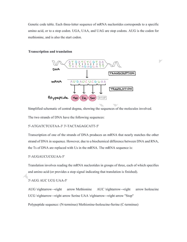ALTERED GENE FUNCTIONS: MUTATION DELETION LOH TRANSLOCATION | PDF ...