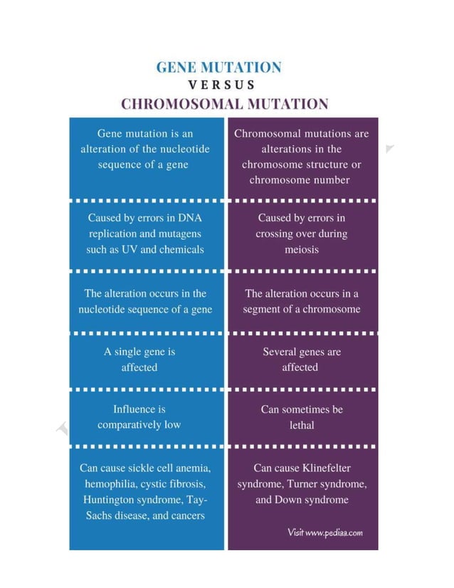 ALTERED GENE FUNCTIONS: MUTATION DELETION LOH TRANSLOCATION | PDF ALTERED GENE FUNCTIONS: MUTATION DELETION LOH TRANSLOCATION | PDF