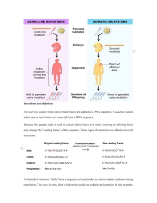 ALTERED GENE FUNCTIONS: MUTATION DELETION LOH TRANSLOCATION | PDF
