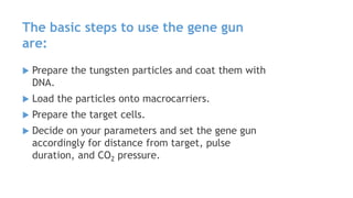 Gene Gun ppt.pptx