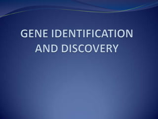 Gene identification and discovery | PPTX