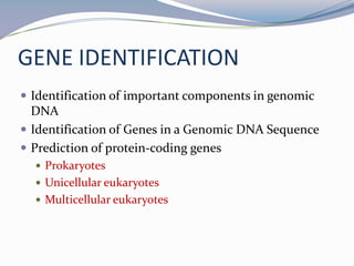 Gene identification and discovery | PPTX