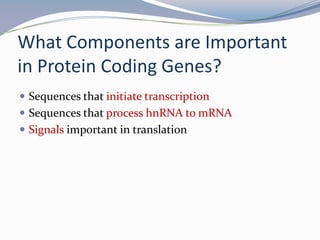 Gene identification and discovery | PPTX
