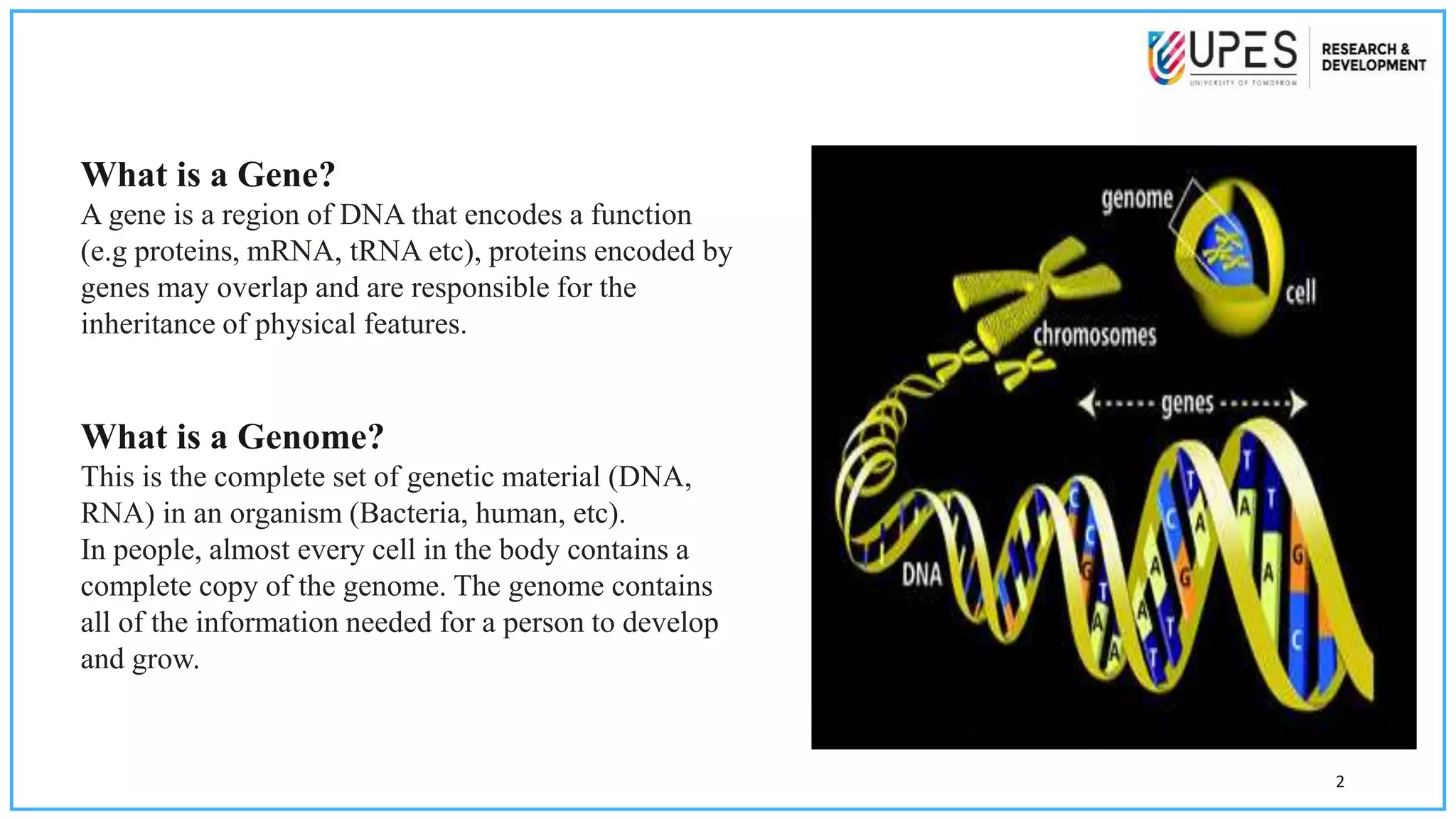 Gene identification using bioinformatic tools.pptx
