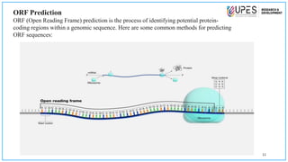 Gene identification using bioinformatic tools.pptx