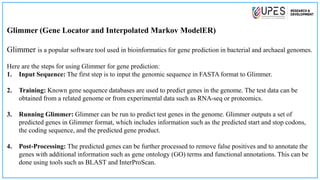 Gene identification using bioinformatic tools.pptx