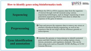 Gene identification using bioinformatic tools.pptx