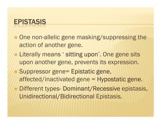 Gene ineractions jb | PDF