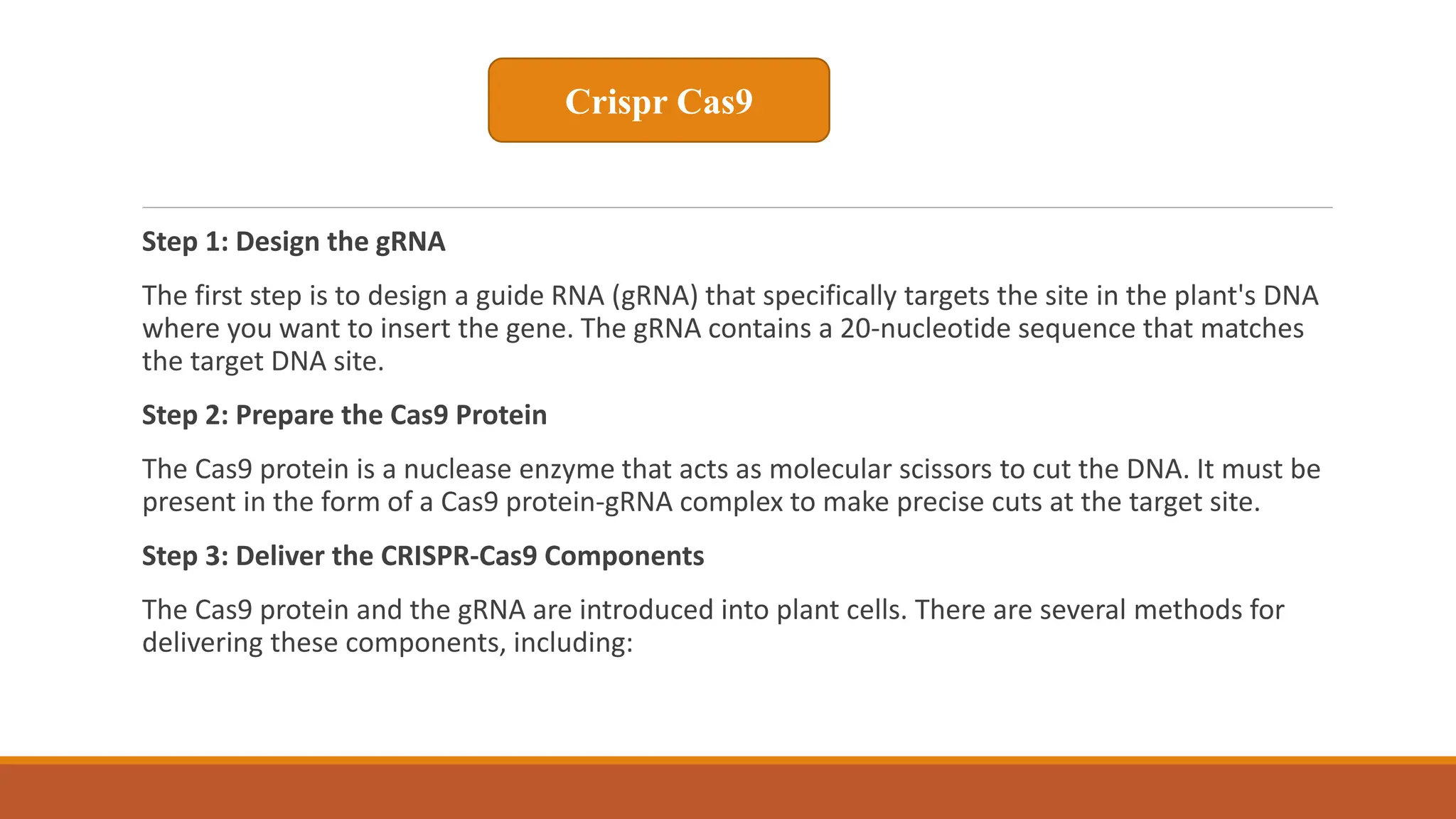 Modern Gene insertion methods - How gene is transferred into plant | PPTX