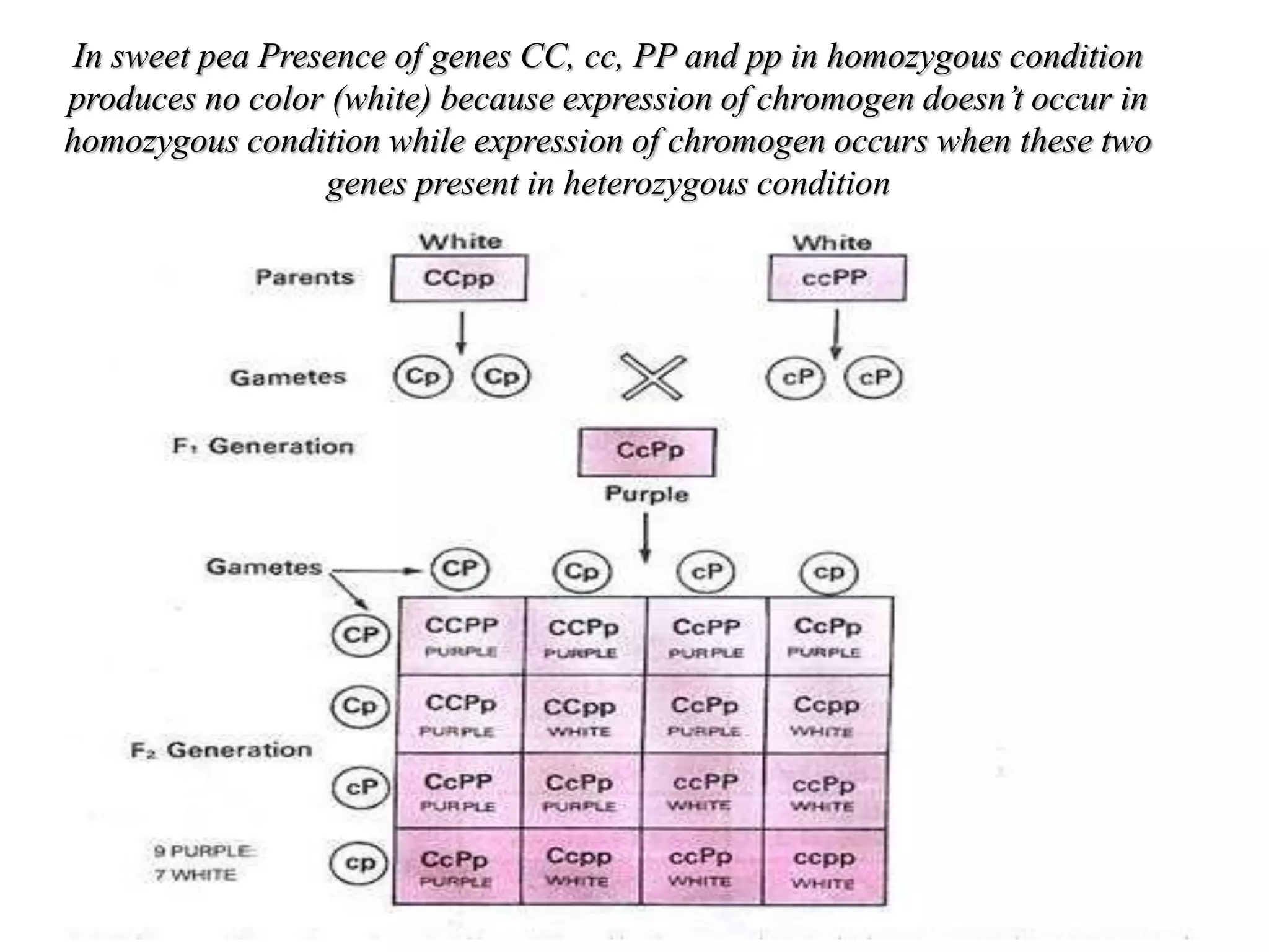 Gene interaction | PPTX