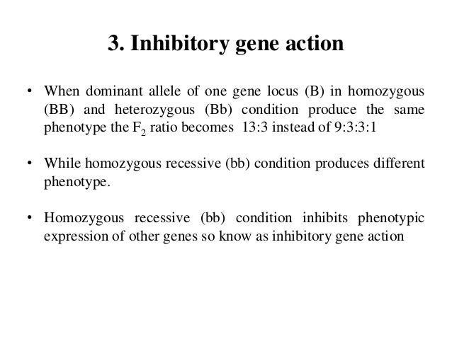 Gene Interaction