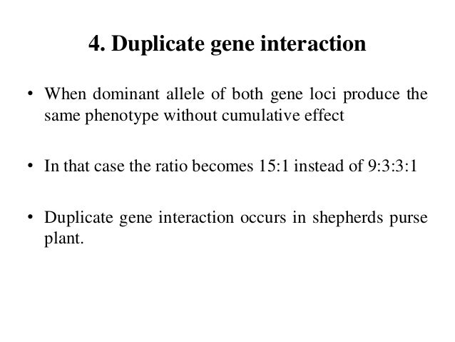 Gene Interaction