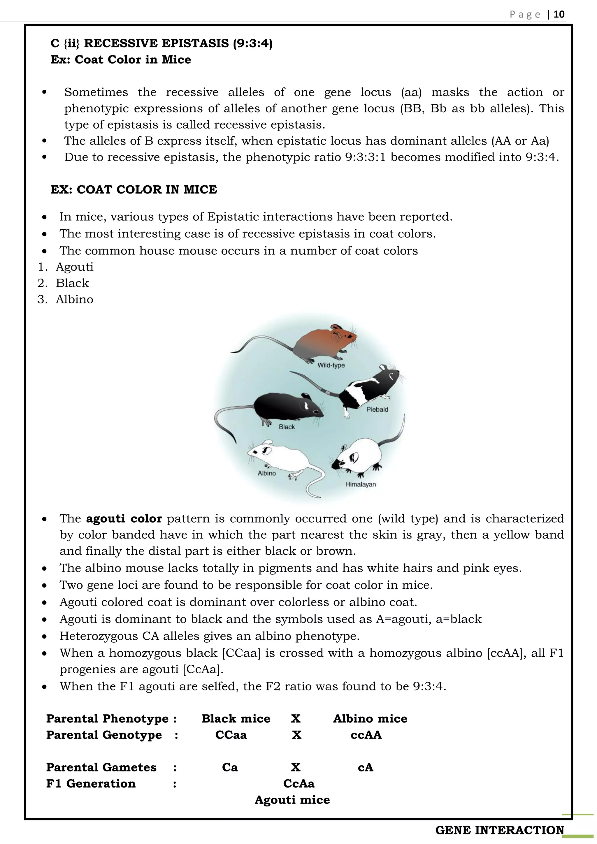 Gene interaction -Complementary, Supplementary,Dominant Epistasis ...