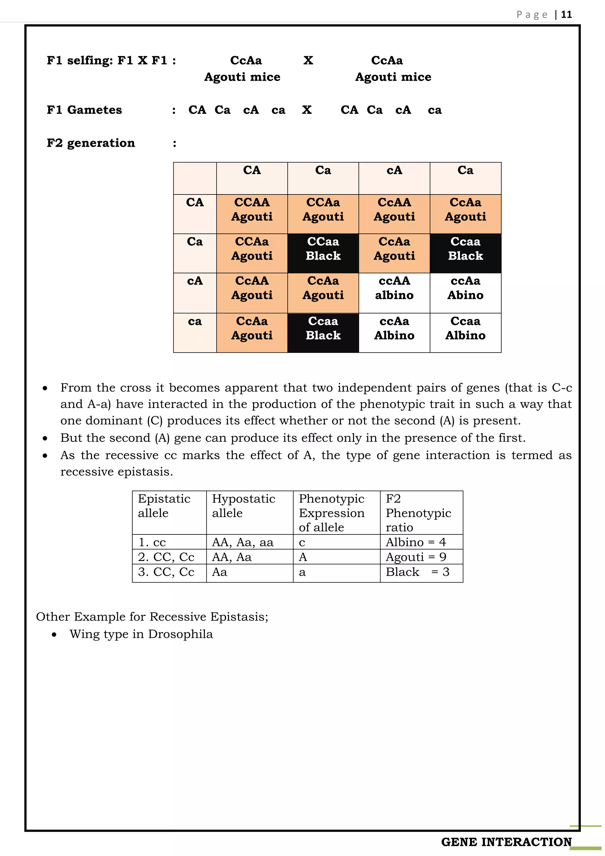 Gene interaction -Complementary, Supplementary,Dominant Epistasis ...