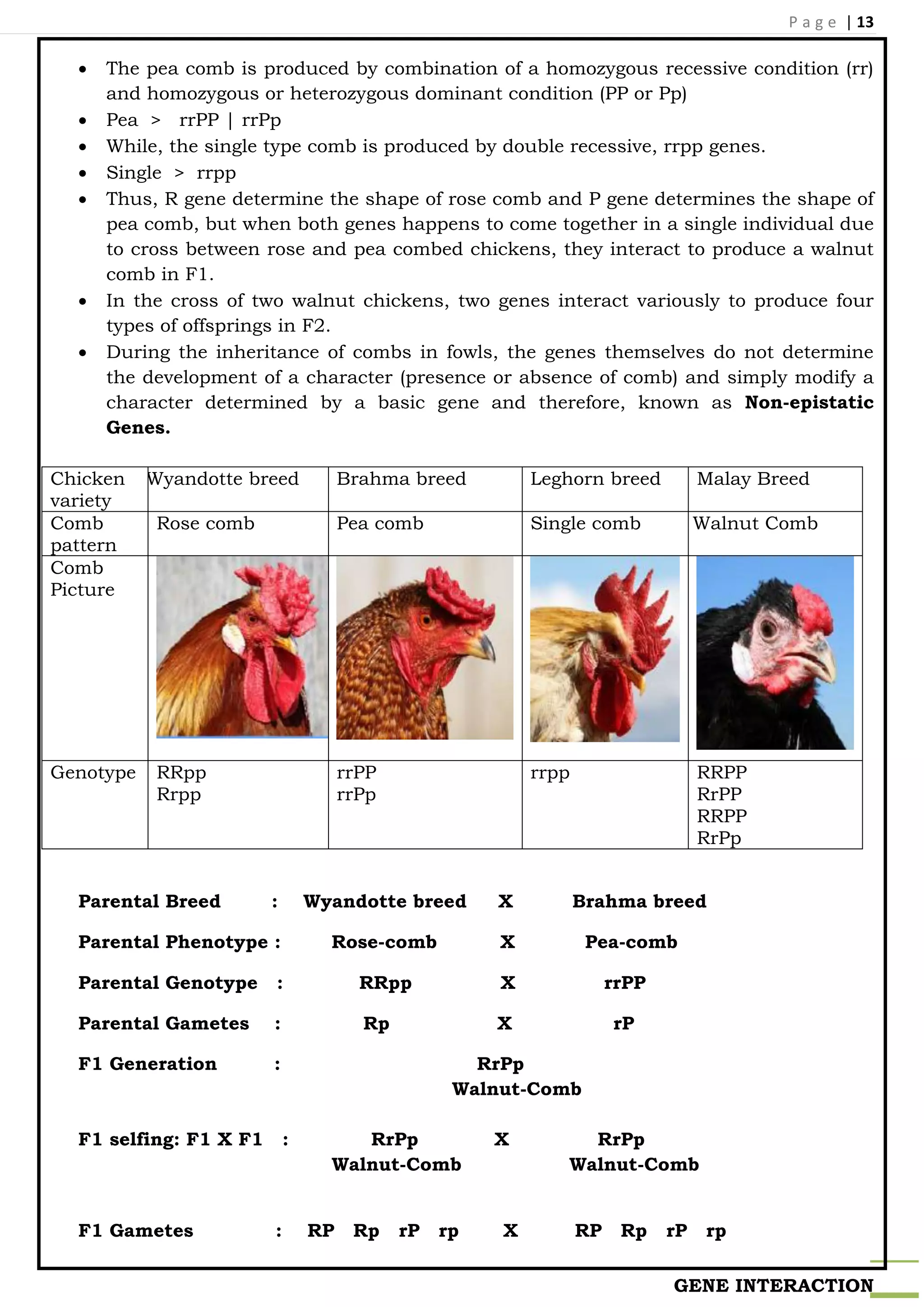 Gene interaction -Complementary, Supplementary,Dominant Epistasis ...