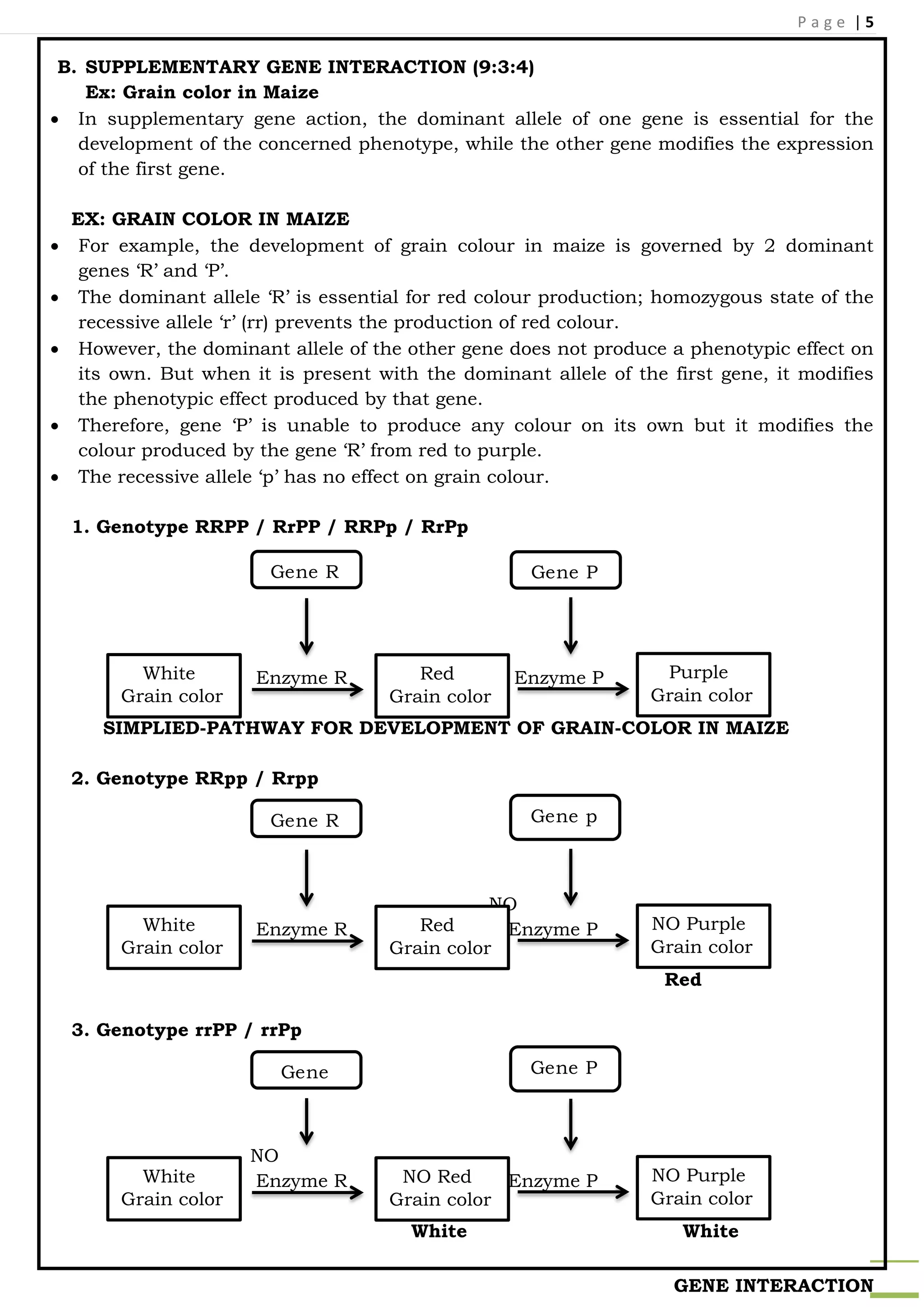 Gene interaction -Complementary, Supplementary,Dominant Epistasis, Recessive Epistasis, Non ...