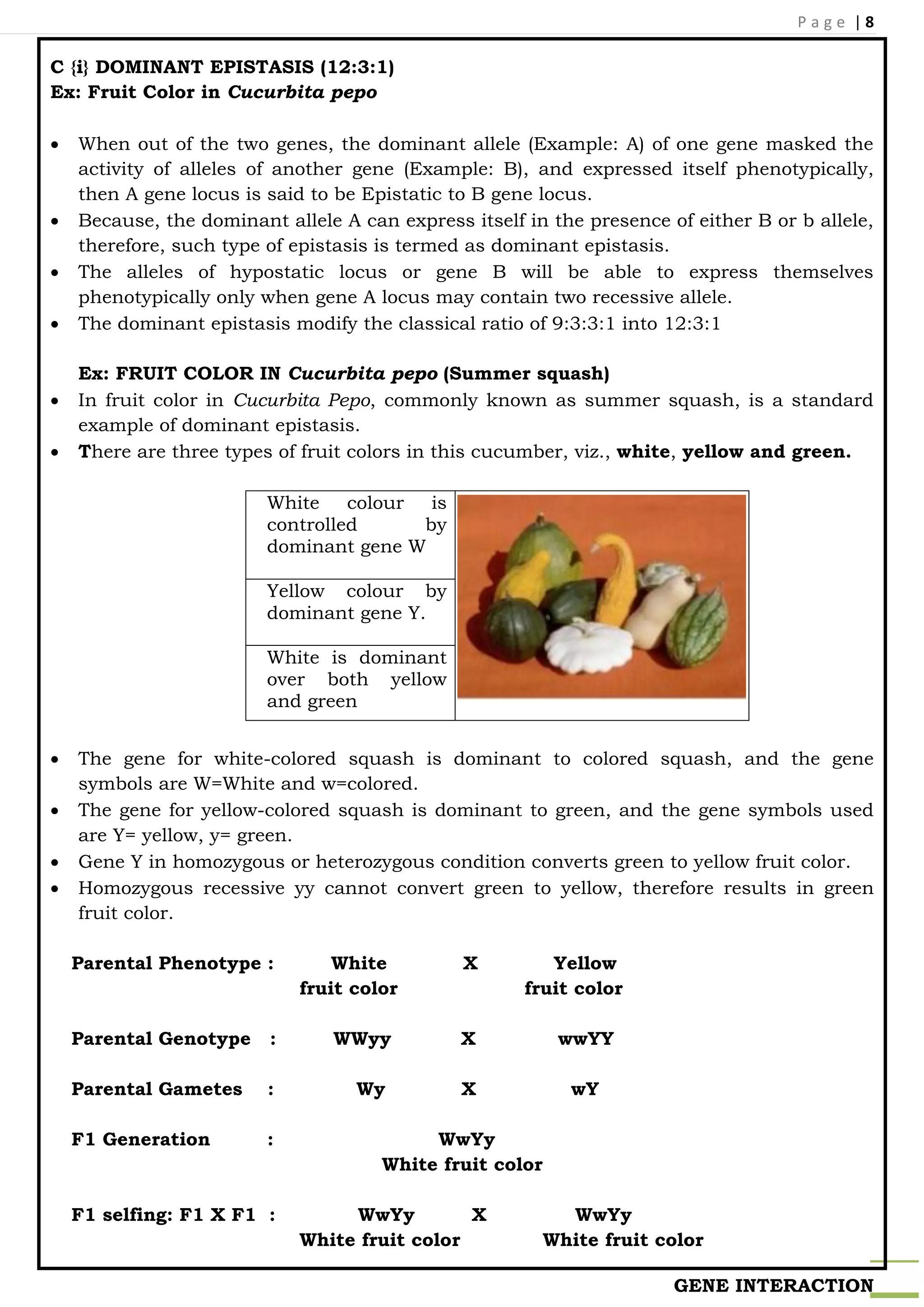 Gene interaction -Complementary, Supplementary,Dominant Epistasis ...