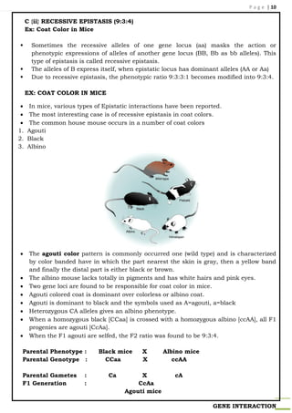 Gene interaction -Complementary, Supplementary,Dominant Epistasis ...