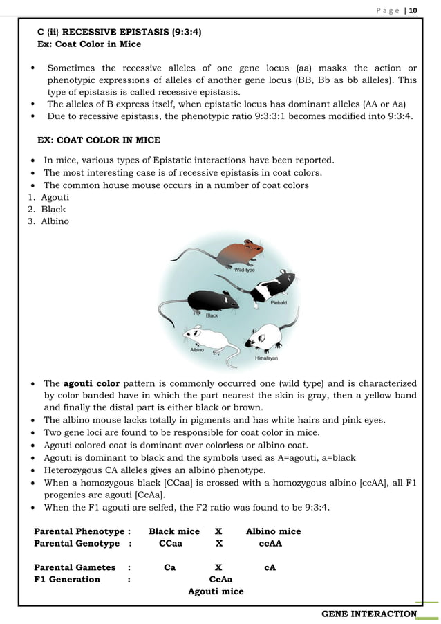 Gene interaction -Complementary, Supplementary,Dominant Epistasis ...