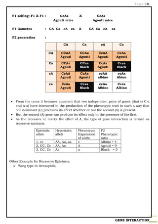 Gene interaction -Complementary, Supplementary,Dominant Epistasis ...