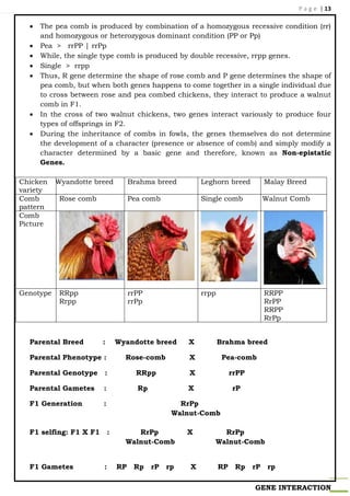 Gene interaction -Complementary, Supplementary,Dominant Epistasis ...
