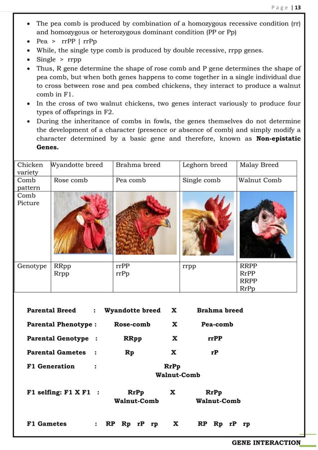 Gene interaction -Complementary, Supplementary,Dominant Epistasis ...