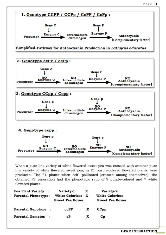 Gene interaction -Complementary, Supplementary,Dominant Epistasis ...