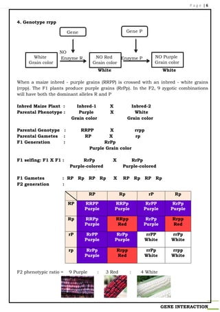 Gene interaction -Complementary, Supplementary,Dominant Epistasis, Recessive Epistasis, Non ...
