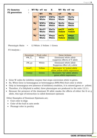 Gene interaction -Complementary, Supplementary,Dominant Epistasis ...