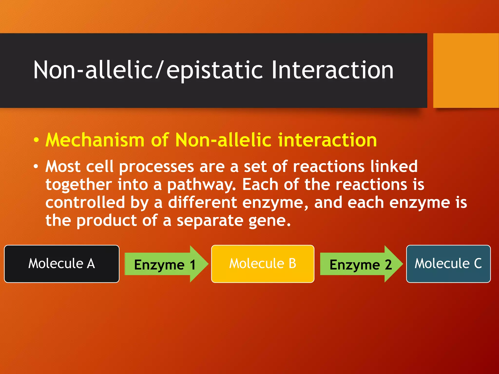 Gene interaction | PPTX