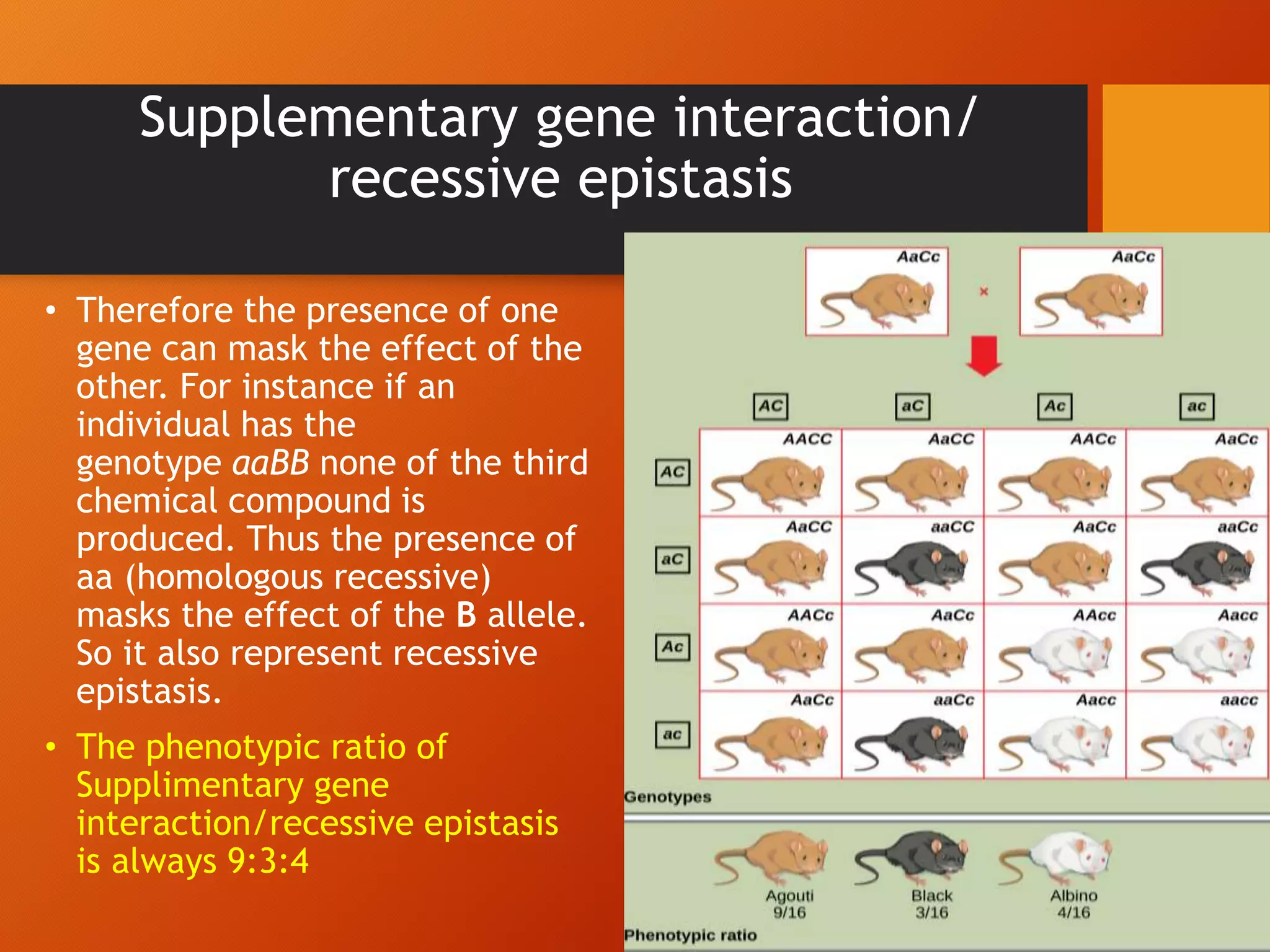 Gene interaction | PPTX
