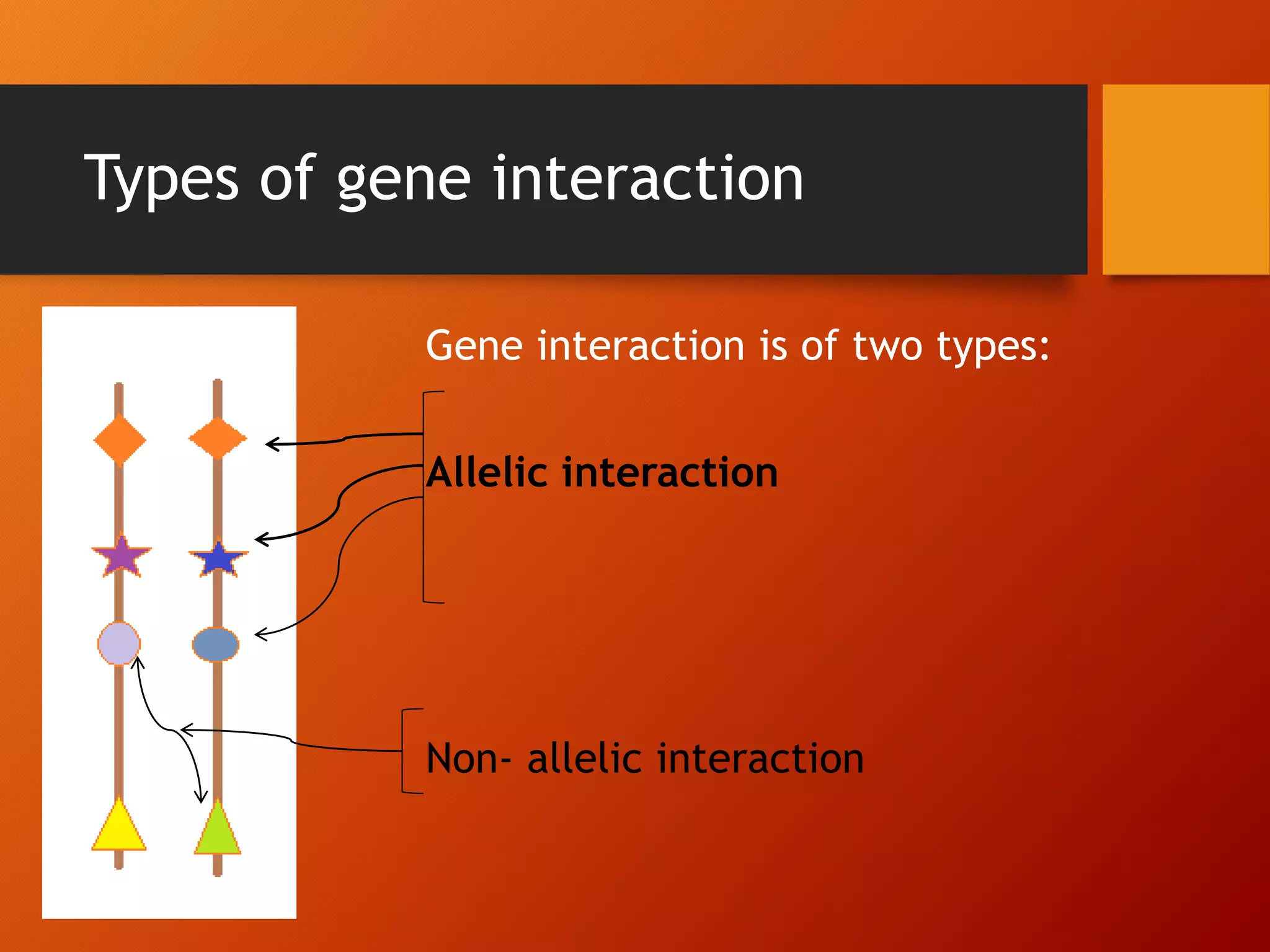Gene interaction | PPTX