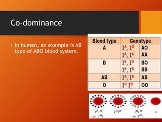 Gene interaction | PPTX