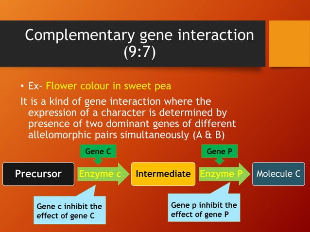 Gene interaction | PPTX