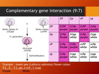 Gene interaction | PPTX