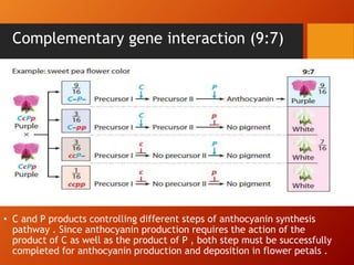 Gene interaction | PPTX