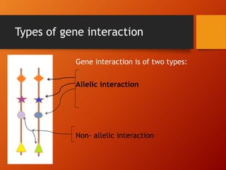 Gene interaction | PPTX