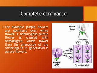 Gene interaction | PPTX