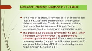 Gene interaction | PPTX